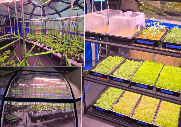 Self-Sustaining Urban Farming Indoor Farms | Biodome